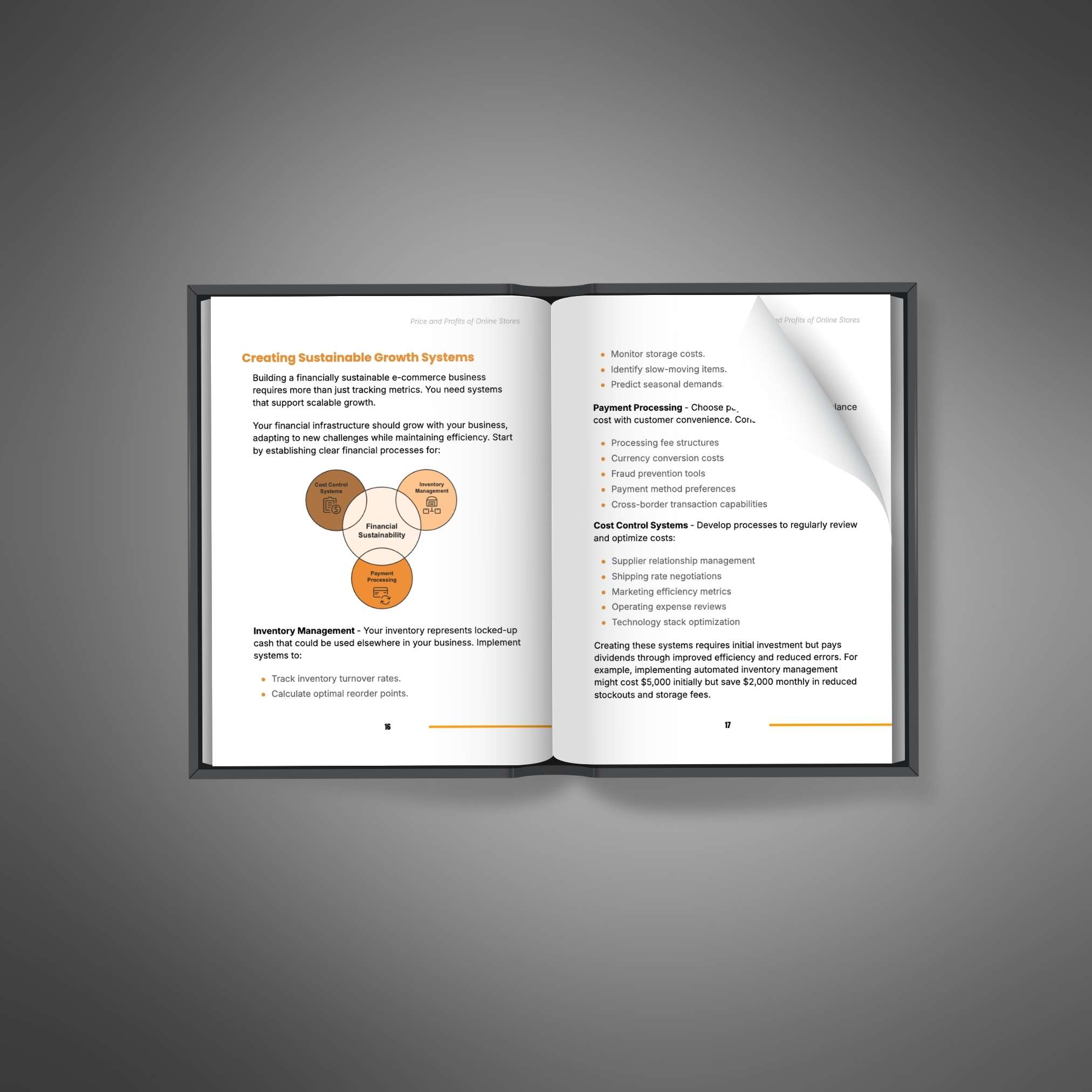 Price and Profits of Online Stores | Entrepedia